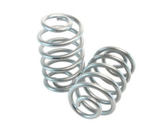 Belltech 31.5" Rear Drop Springs for Trailblazer SS - Driven Speed ...