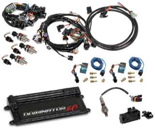 Holley LS2 / LS3 / LS7 (58x/4x) Dominator EFI Kit - Driven Speed ...
